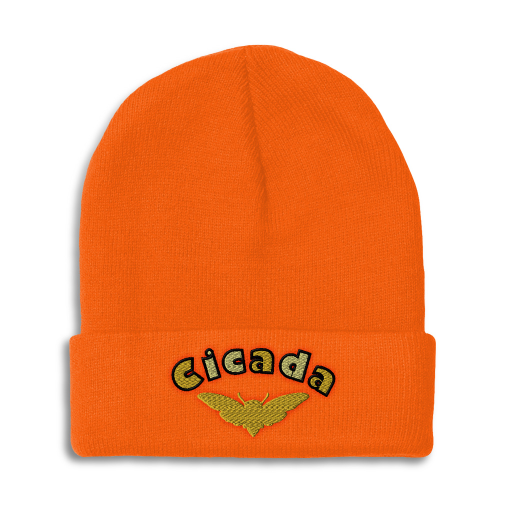 Beanies for Men Cicada Winter Hats for Women Acrylic Skull Cap 1 Size ...